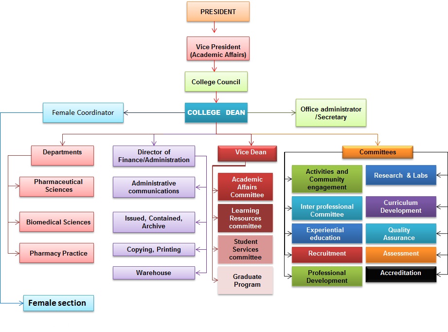 Organizational Structure